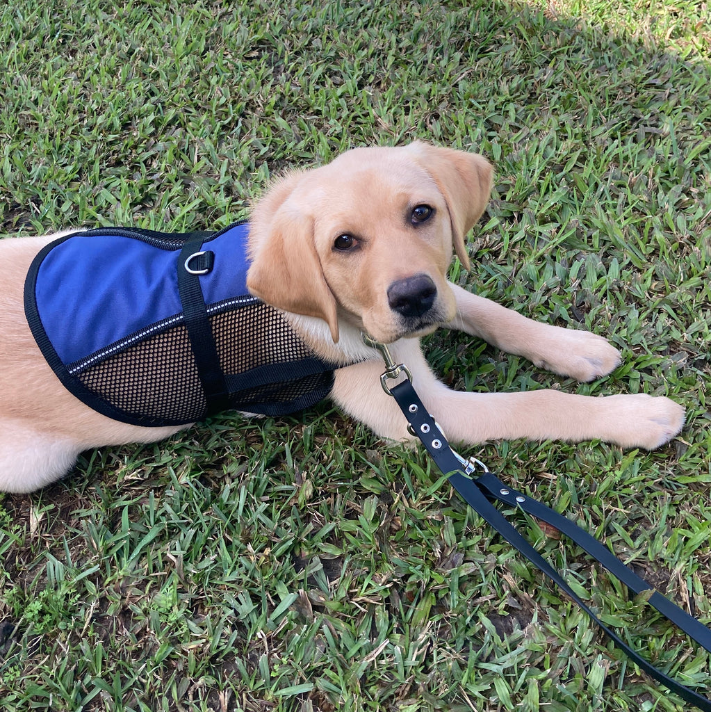 Lightweight Service/Therapy/Assistance Dog Training Vest / Coat ...