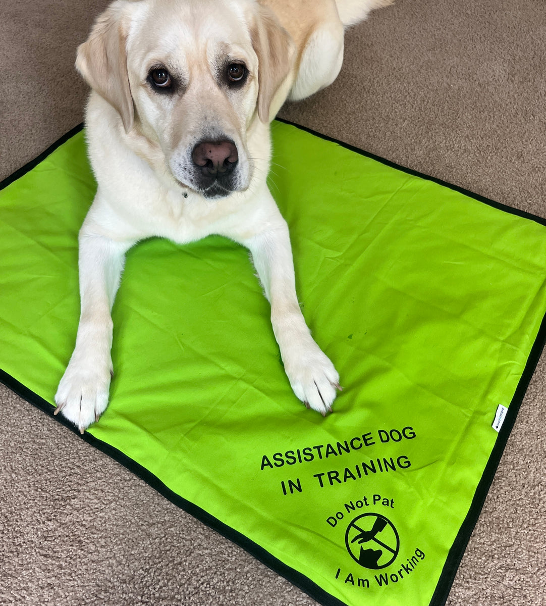Custom Made Place Training Mat with Print – Pebbles & Paws