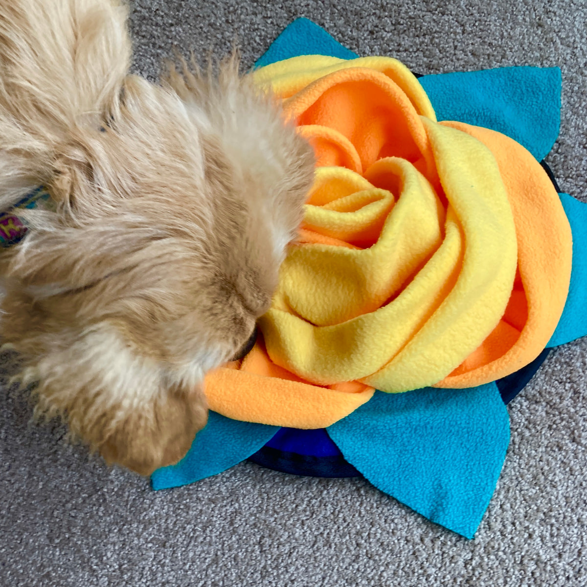 Fleece Snuffle Rose - Dog Enrichment Puzzle – Pebbles & Paws